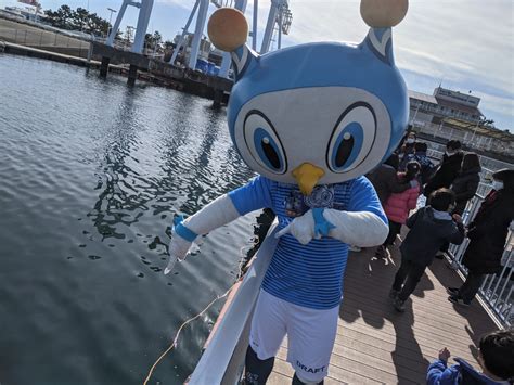 横浜ブルーカーボン「わかめ収穫イベント」～横浜・八景島シーパラダイス うみファームにて～ 横浜fcオフィシャルウェブサイト