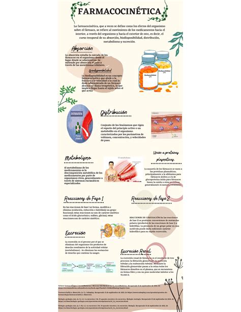 Farmacocinética De Absorción De Fármacos