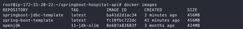 Docker Springboot