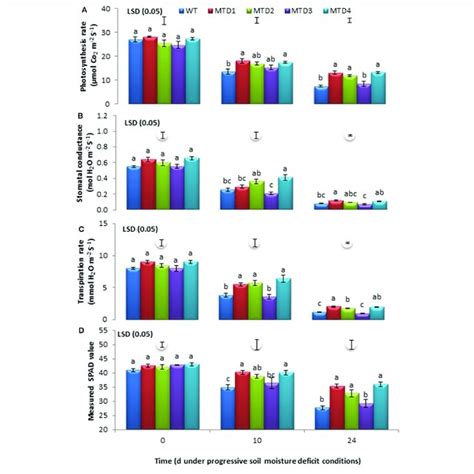 Estimation Of Photosynthetic Rate A Stomatal Conductance B Download Scientific Diagram