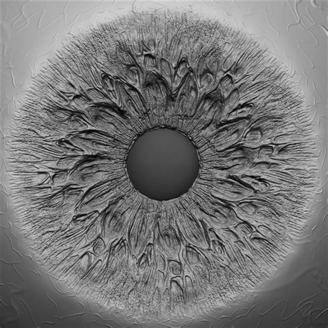 Глаз Реалистичный 3D Модель $99 - .unknown .obj .ztl - Free3D