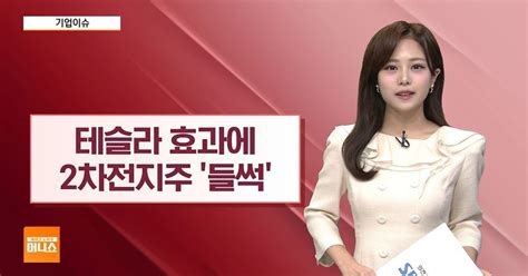 기업이슈 테슬라 긍정적 실적 전망에국내 이차전지주 들썩