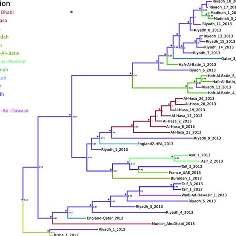 Time Resolved Phylogenetic Tree Of All Concatenated Coding Regions Of