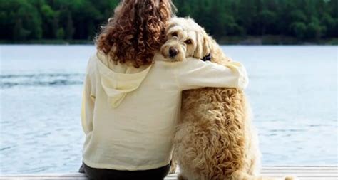 Things You Do That Your Dog Actually Hates