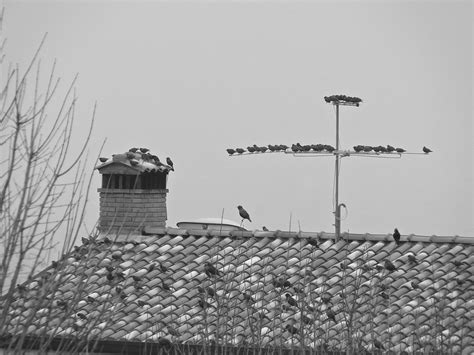 How To Boost Radio Signal In A Building A Short Guide Swingin West