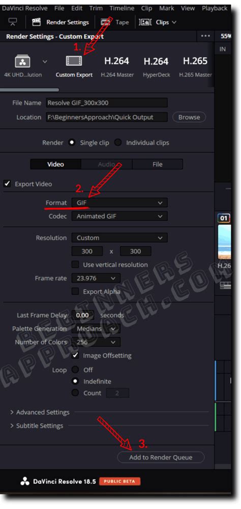 DaVinci Resolve Export Natively Under 60 Sec 2025