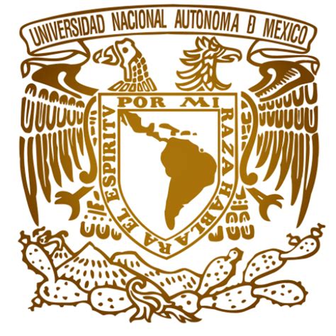 Endocrinólogo En Mexicali Dr Alejandro Quintanilla