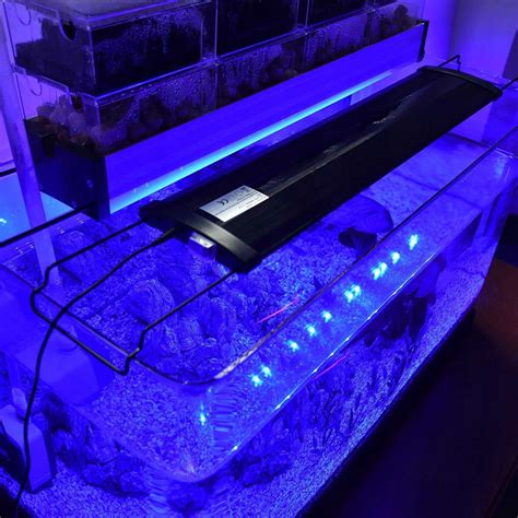 LAMPA LED DO AKWARIUM BELKA OŚWIETLENIE cm oficjalne archiwum allegro