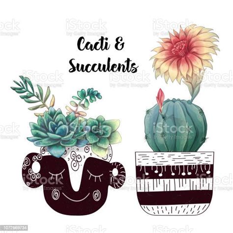 선인장 및 Succulents 세트와 함께 카드입니다 사막의 식물입니다 귀여운에 대한 스톡 벡터 아트 및 기타 이미지 귀여운