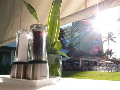 朝の日差し By Kon T （id：2882402） 写真共有サイト Photohito