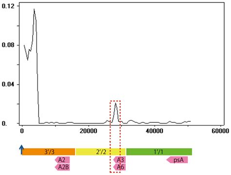 Window Analysis Of Nucleotide Divergence Between A Pair Of Palindrome