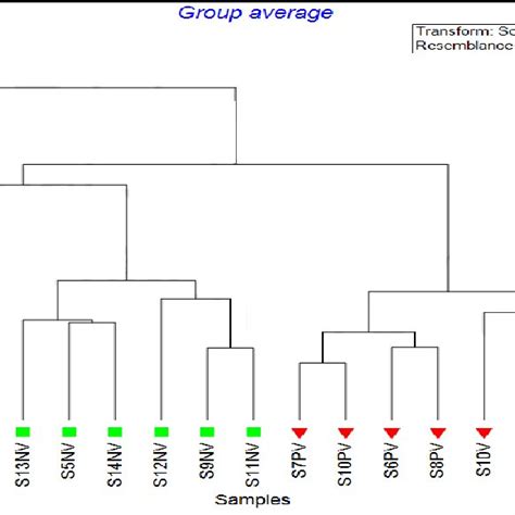 Dendrogram Obtained From The Ascending Hierarchical Classification