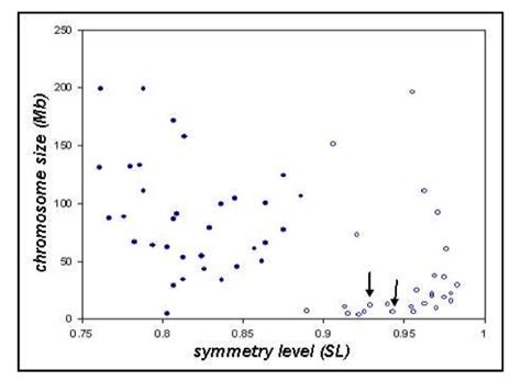 Relation Between At And Cg Skews Correlation Level Skew Correlation