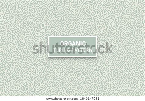 Biological Vector Turing Reaction Diffusion Pattern Stock Vector Royalty Free 1840147081