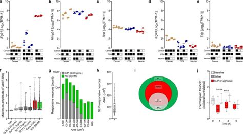 Nociceptor Neurons Affect Cancer Immunosurveillance Abstract
