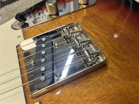 Squire Telecaster Deluxe Owls Guitar Sanctuary