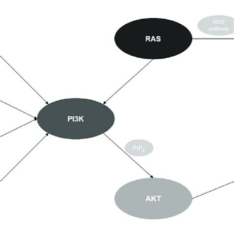 Venn Diagrams Of A Disease Differentiating Mirnas Studied In Selected