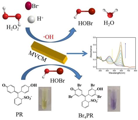 Biosensors Mdpi On Linkedin Article Nanozyme Cemof Haloperoxidase Ratiometric Colorimetric…
