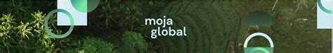 Feature Request Correct The Size Of The Moja Global Brand Image In The