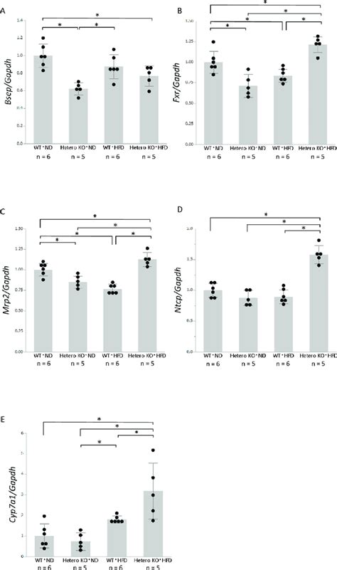 Hepatic Expression Levels Of Genes Related To Bile Acid Metabolism As