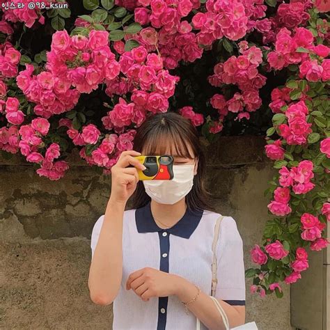 테이스티경주 경주 황리단길에 숨어있는 인생샷스팟 💗 오래된 담장밑 장미넝쿨에선 막찍어도 프사각 😍