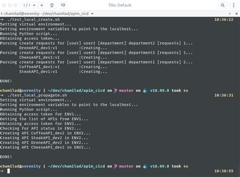 ci cd apis with wso2 api manager how to do continuous integration and