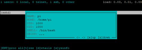 Install Whowatch On Raspberry Pi Lindevs