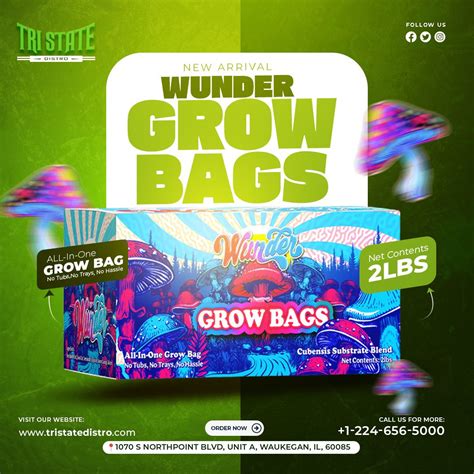 Sameer Akhtari On Linkedin Todayatwork Graphicdesign Innovation