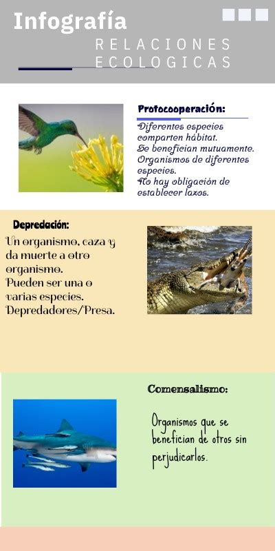 Tarea 4 Biología