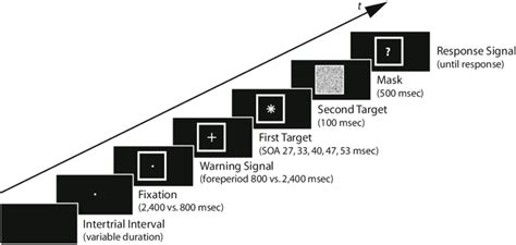 Time Course Of A Single Experimental Trial In Experiment 2 Download