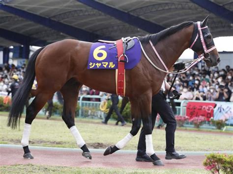 【佐賀・サマーチャンピオン 13時時点オッズ】シャマルが単勝28倍の1番人気、コンバスチョンが29倍で続く 競馬ニュース