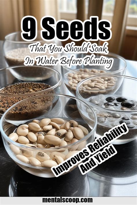 9 Seeds That You Should Soak In Water Before Planting Mental Scoop