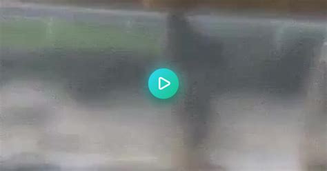 Upvoting July 29th Like… Album On Imgur