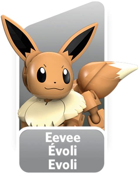 Best Buy Pokémon Every Eevee Evolution Pack Gfv85