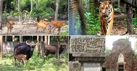 ភ្នំតាម៉ៅ ជារមណីយដ្ឋានចំរុះ Empire News Network