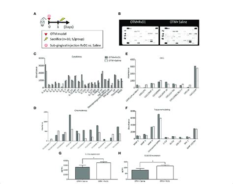 Rvd1 Affects The Extracellular Secretome Composition In The Acute Phase