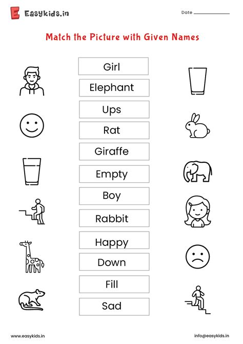 Match The Picture With Given Names
