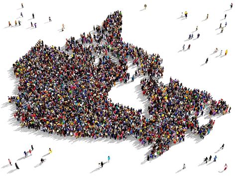 15 Things You Should Know Before Moving To Canada Readers Digest