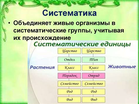 Доказательства эволюции презентация онлайн