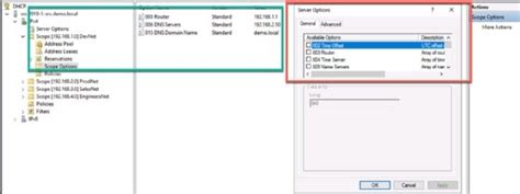 How To Configure Multiple Dhcp Scopes On One Windows Server Techtarget