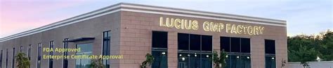 Lucivora Vorasidenib 40mg Dan Dampaknya Pada Terapi Tumor Otak