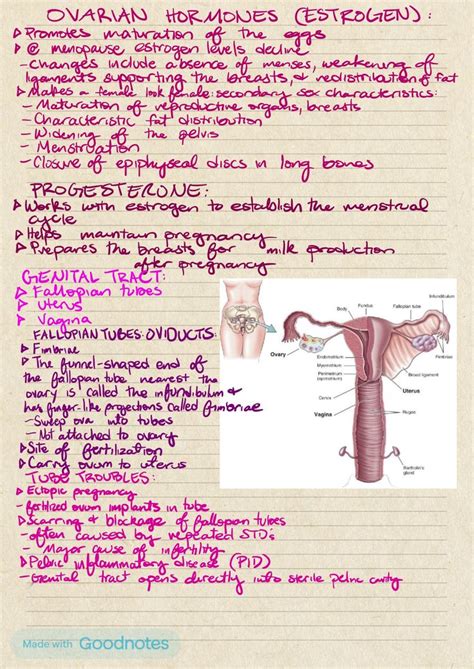 Pin By Sydb On Med Termanatomy N Physio Physio Save Anatomy