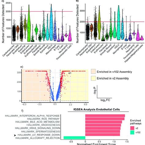 genome assembly can alter the nfeatures and ncounts of a scrnaseq