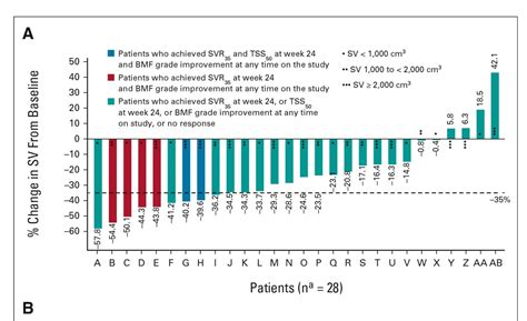 Navitoclax Plus Ruxolitinib For Myelofibrosis Blood Cancers Today