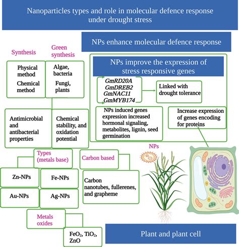 Frontiers The Role Of Nanoparticles In Plant Biochemical