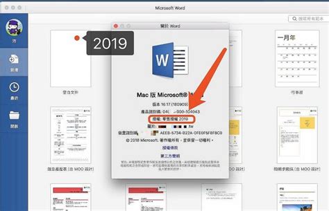 Office Project Visio Windows Mac