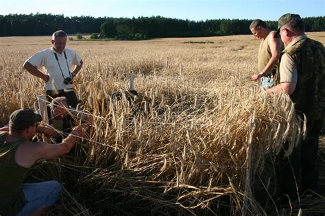 Rolnicy chcą stałych komisji do szacowania strat w uprawach