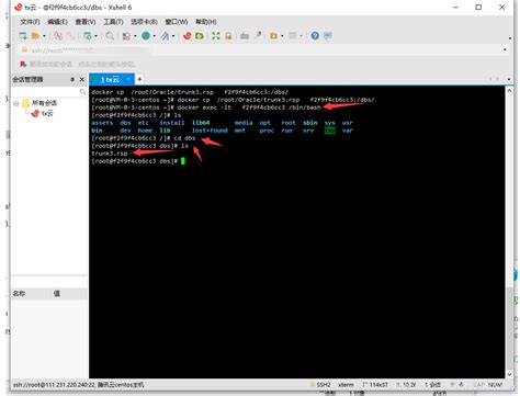 Linux上oracle 11g安装步骤图解超详细图文教程附带导入数据和新建数据库教程linux安装oracle11g完整安装图文教程 Linux上oracle 11g安装步骤图解超详细图文教程附带导入数据和新建数据库教程linux安装oracle11g完整安装图文教程