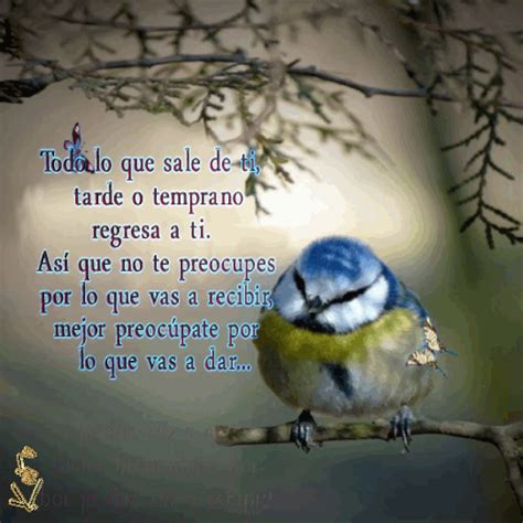 Frases Y Reflexiones