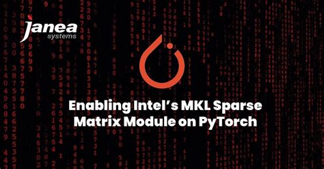 Janea Systems Enables The Mkl Sparse Matrix Module On Pytorch For